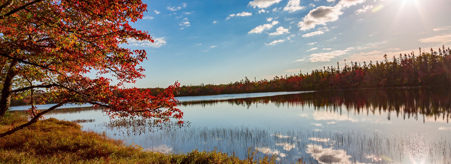 Warum Kanada? Gründe für Nova Scotia und den Grundstückskauf